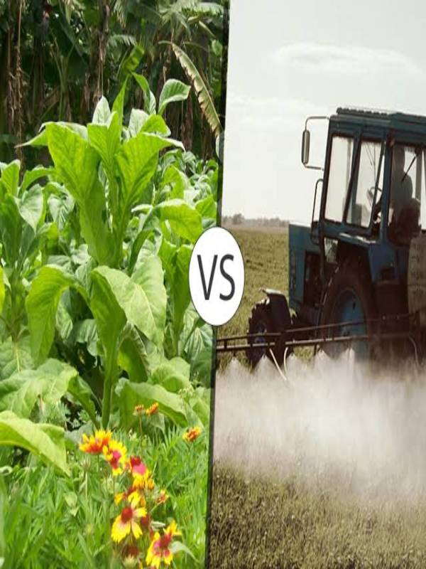 Organic farming vs Conventional farming. Which is better? Why ...