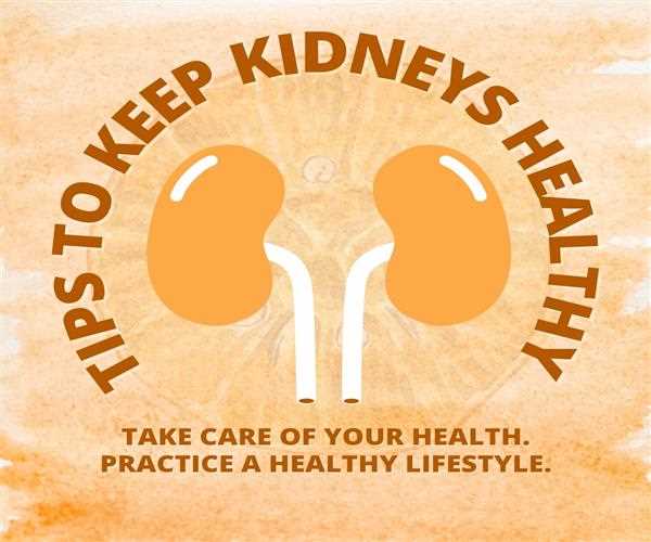 Tips to keep kidneys healthy - MindStick YourViews – MindStick YourViews