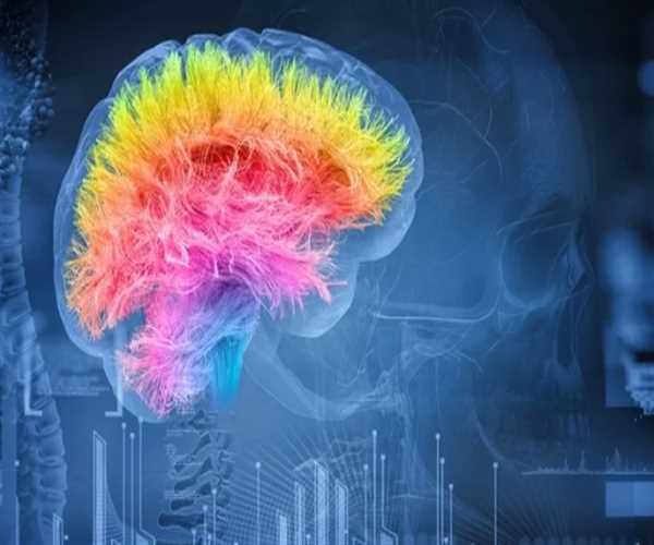 How Mobile phones are affecting our brain functioning – MindStick YourViews