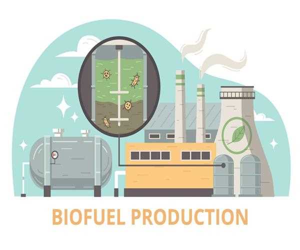 Explore the opportunities and challenges of implementing biofuel ...