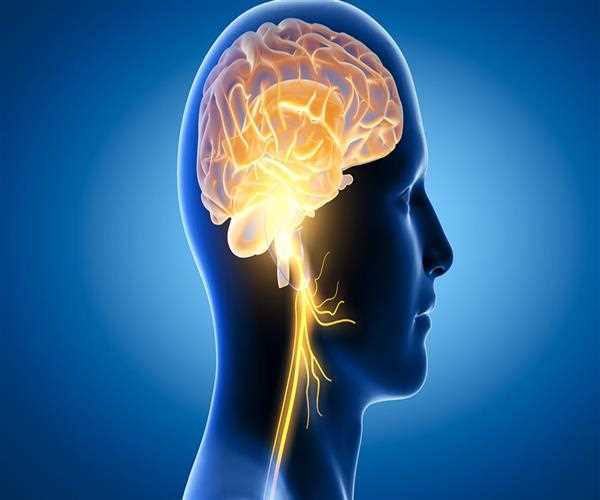 Best Ways to keep your brain healthy and lifelong - MindStick YourViews ...