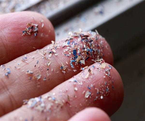 The human body, made up of microplastic can be seen after 50 years ...