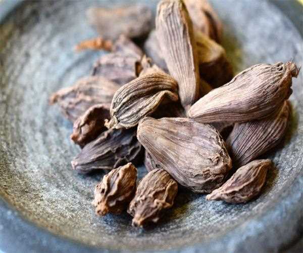 Badi Elaichi (Black cardamom) health benefits – MindStick YourViews